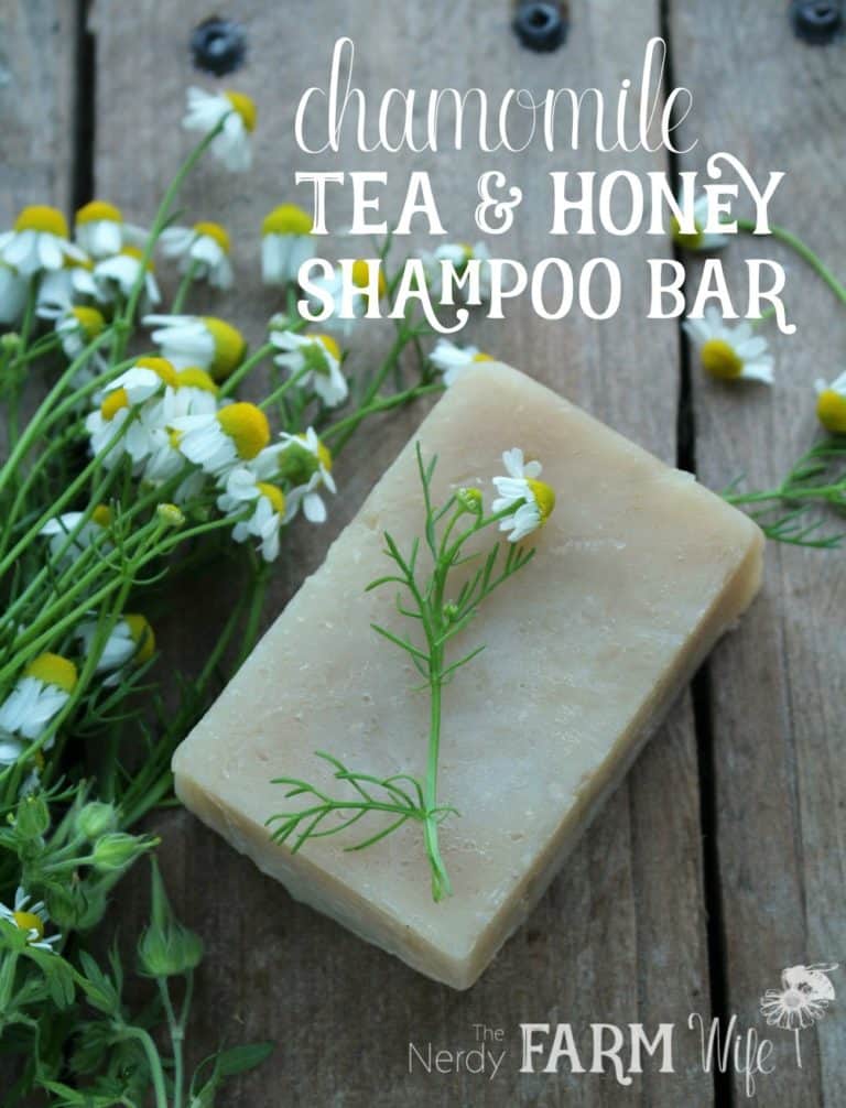 5 Homemade Solid Shampoo Bar Recipes Diy Thought