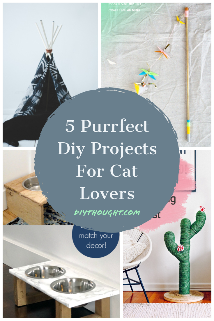 5 Purrfect Diy Projects For Cat Lovers - DIY Thought