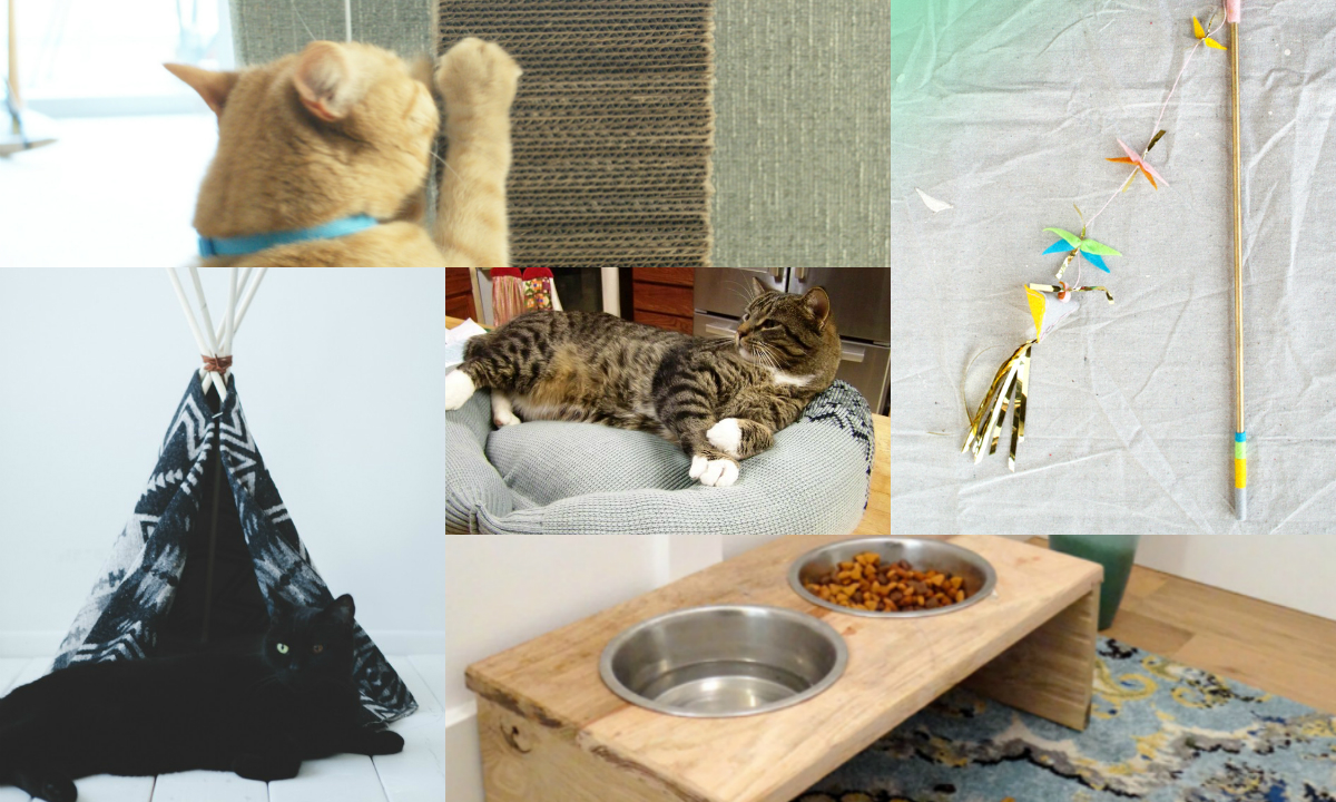 5 Purrfect Diy Projects For Cat Lovers - diy Thought