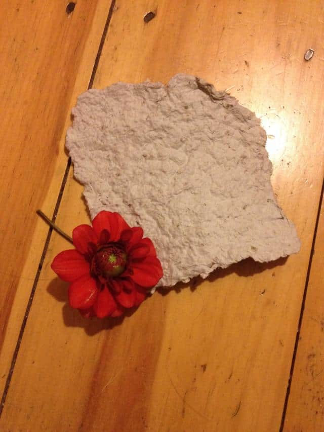 7 Useful Ways To Repurpose Newspaper - diy Thought