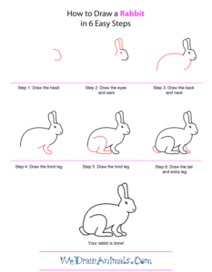 How To Draw Bunny Rabbits - diy Thought