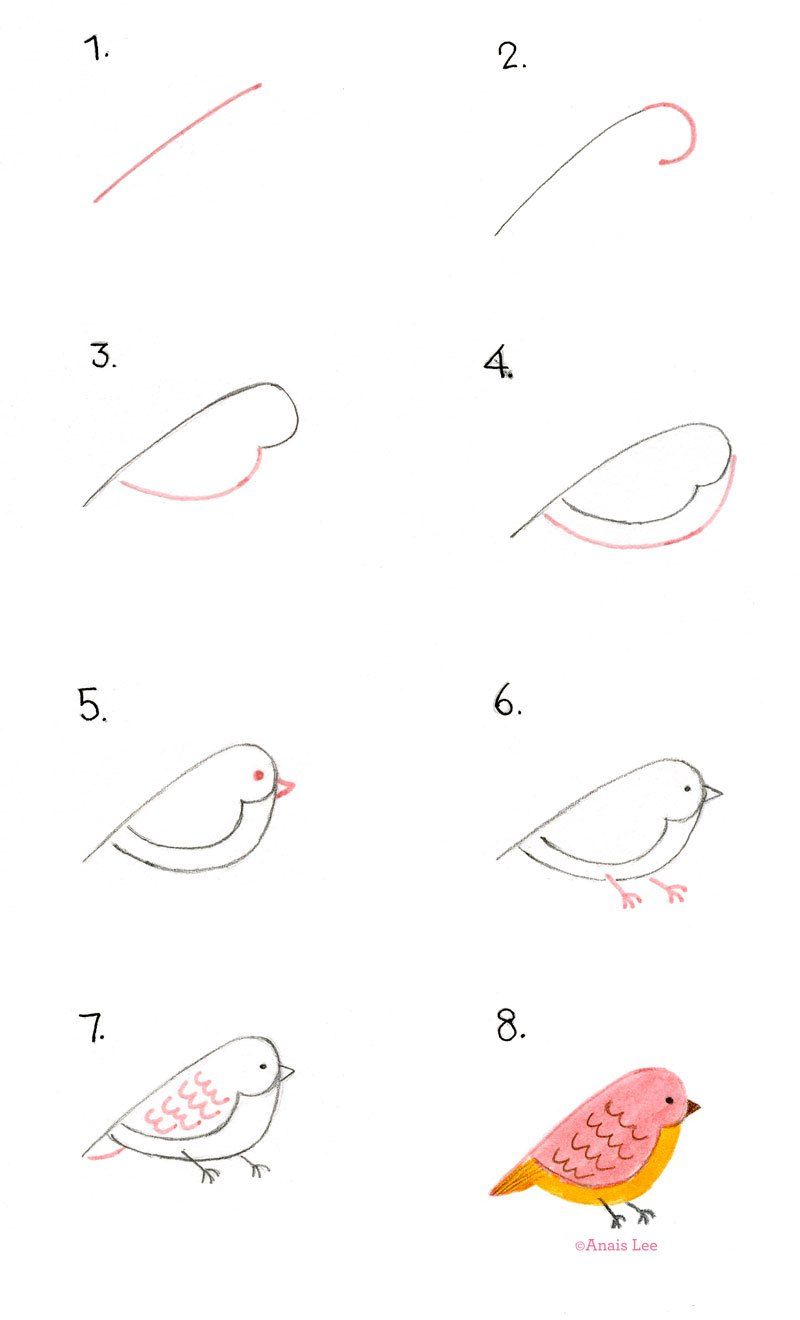 How To Draw Birds - diy Thought