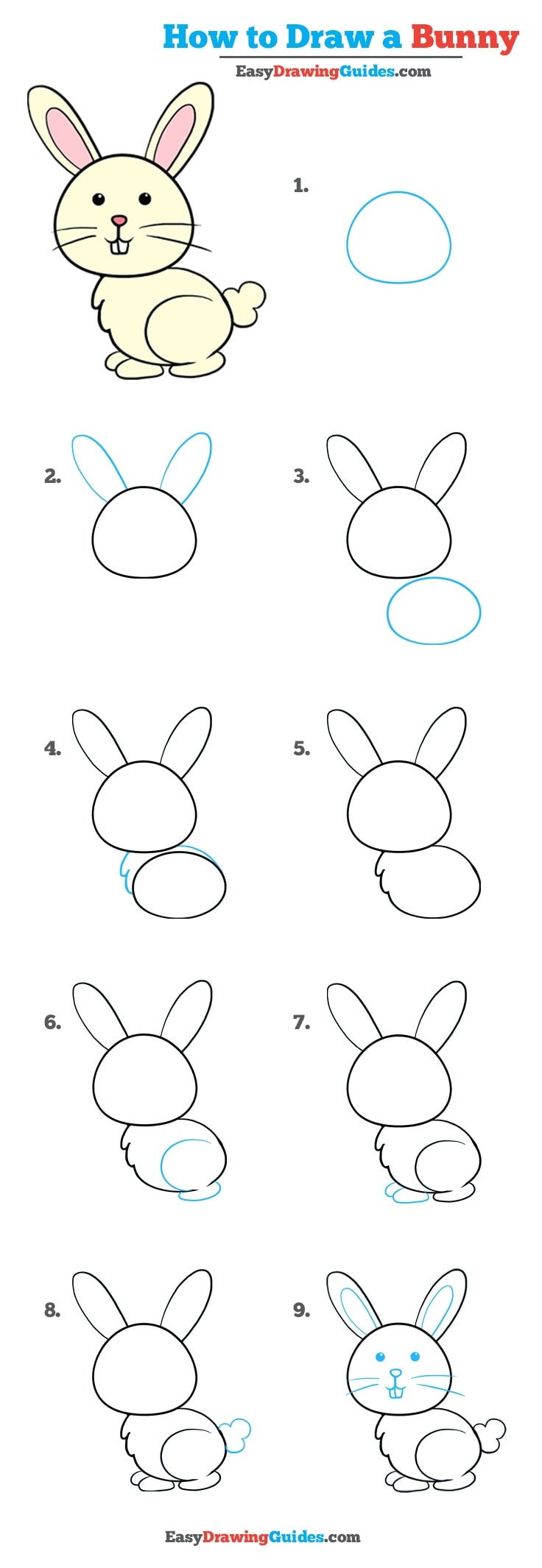 How To Draw Bunny Rabbits - diy Thought