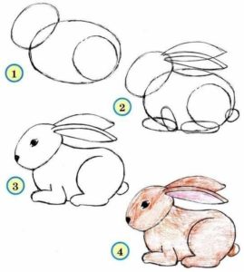 How To Draw Bunny Rabbits - diy Thought