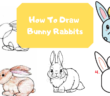 How To Draw Bunny Rabbits - DIY Thought