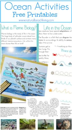 World Oceans Day Activities - diy Thought
