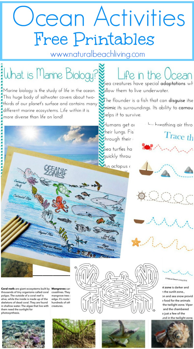 World Oceans Day Activities - diy Thought