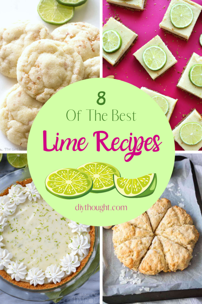 8 Of The Best Lime Recipes - diy Thought