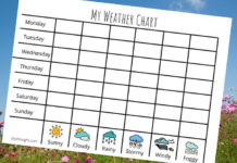 8 Free Party Favor Label Printables - diy Thought