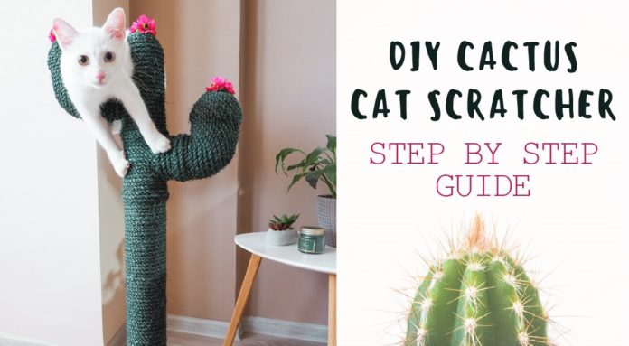 DIY Cactus Cat Scratching Post - diy Thought