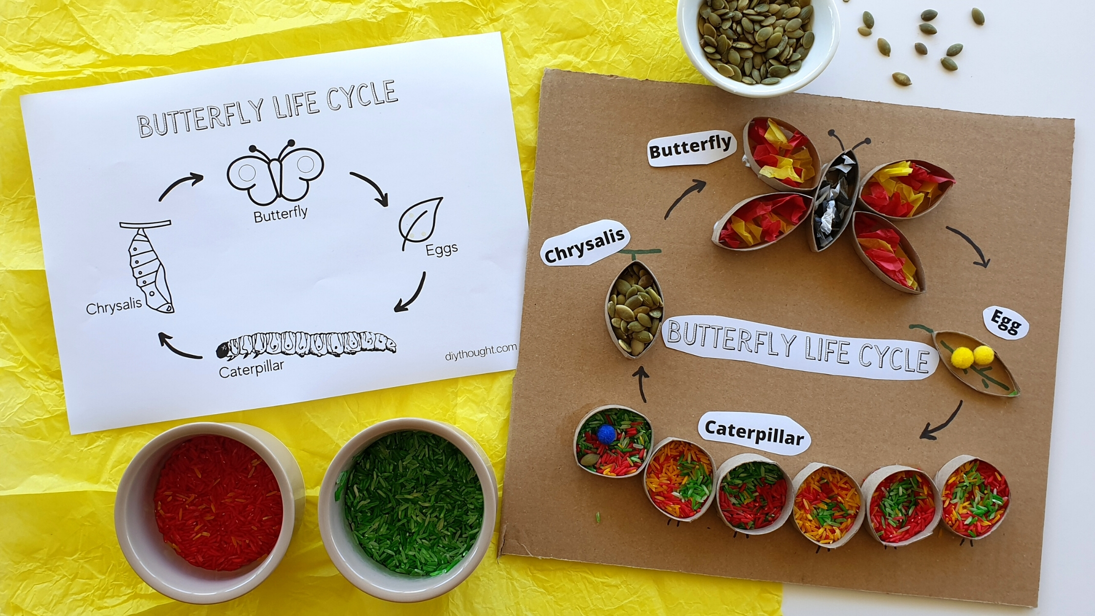 Cardboard Tube Butterfly Life Cycle Sensory Art - DIY Thought