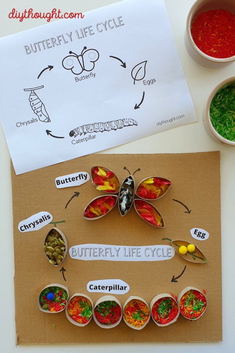 Cardboard Tube Butterfly Life Cycle Sensory Art - diy Thought