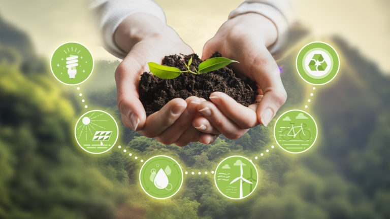 Sustainability: What Is It and How to Achieve It - diy Thought