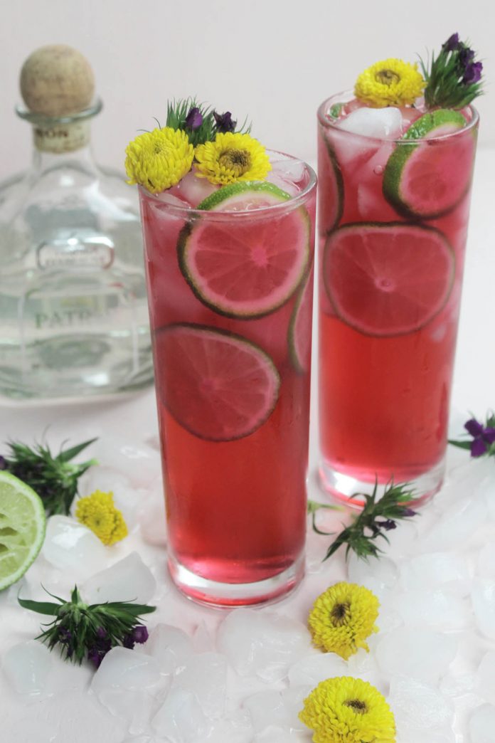 41 Drinks Perfect For Your Next Party - diy Thought