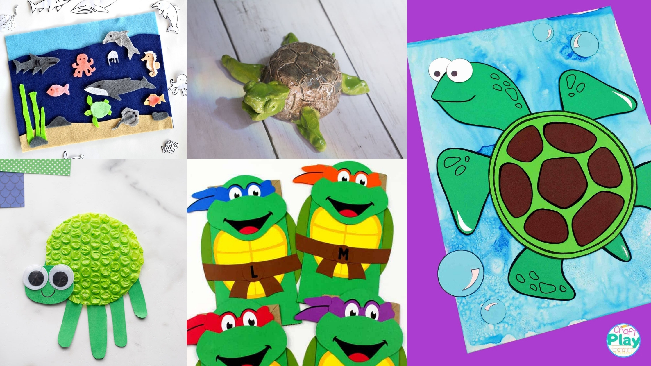 10 Terrific Turtle Crafts & Activities - DIY Thought