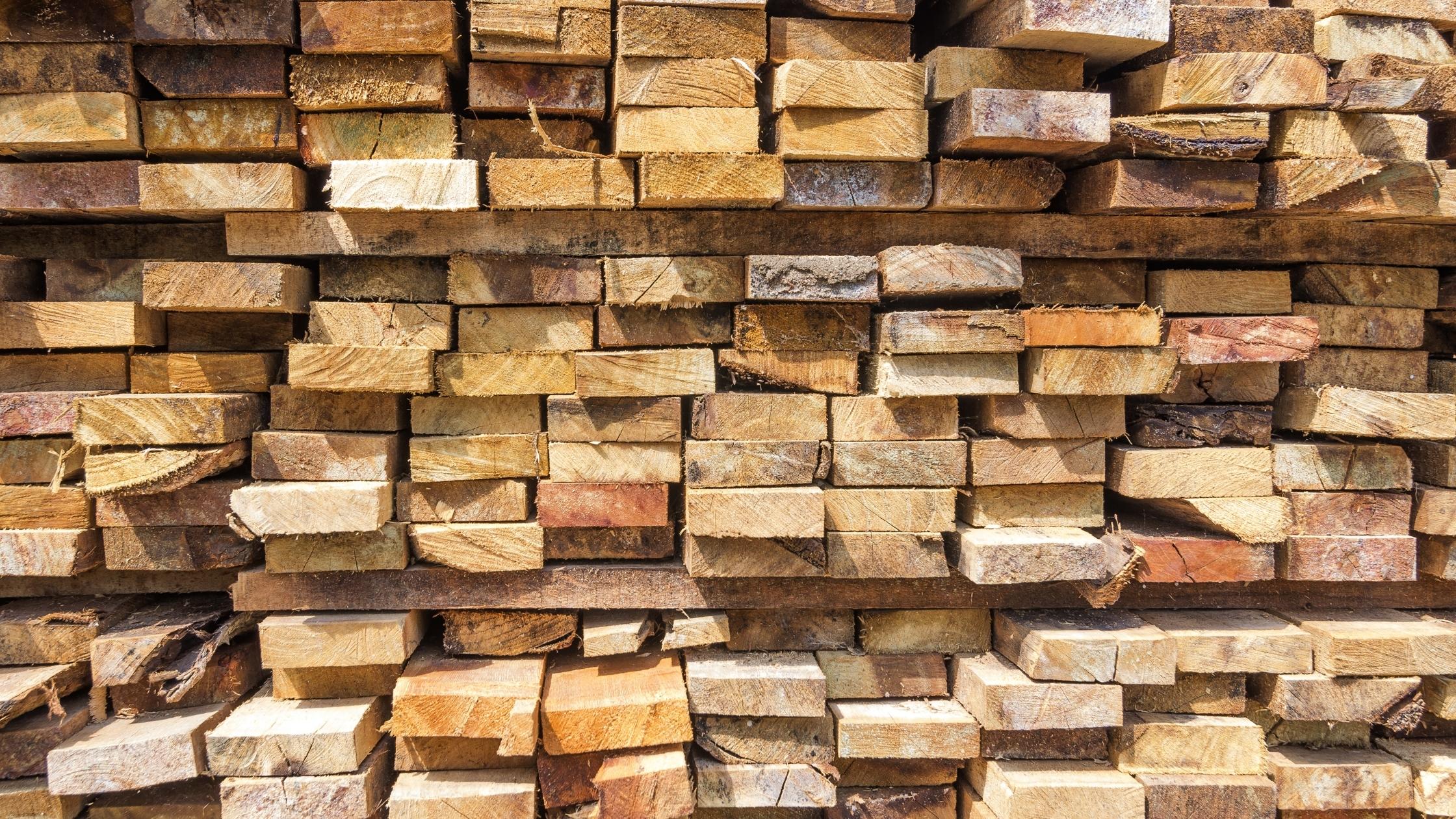 Why Should You Use Treated Timber? - DIY Thought