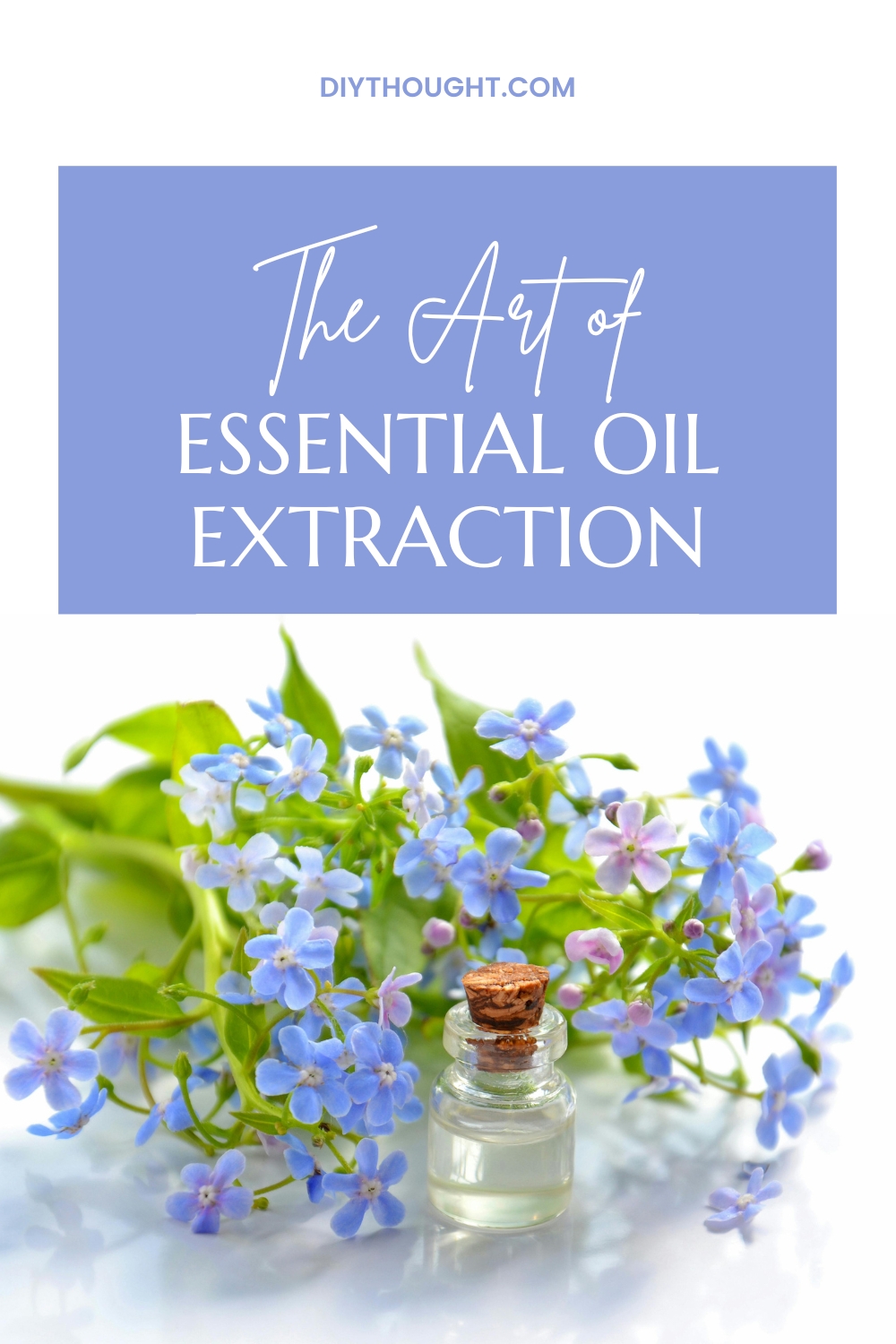 The Art of Essential Oil Extraction: Tips and Tricks for DIY ...